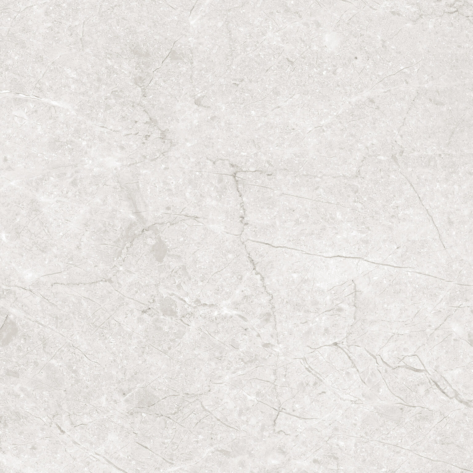 Mellow Grey Polished 600 x 600 mm Living Ceramica Tiles – JCC